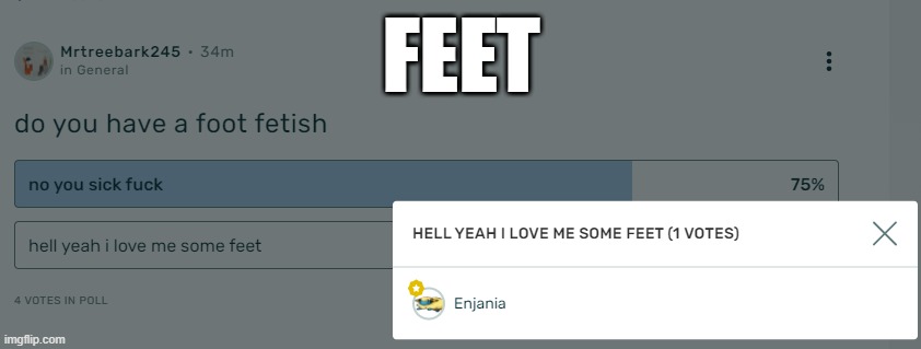 feet - Imgflip