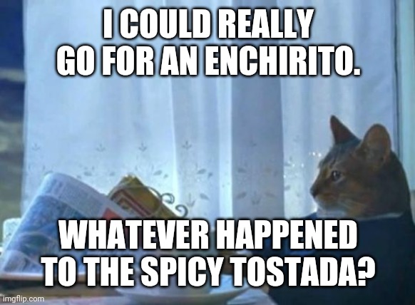 Cat newspaper - Imgflip