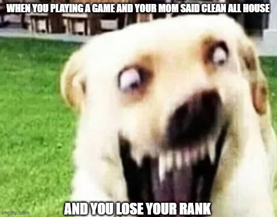 dog screamer lol boi - Imgflip