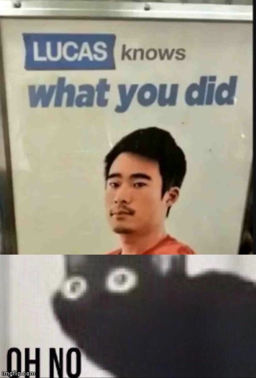 Image tagged in oh no cat - Imgflip