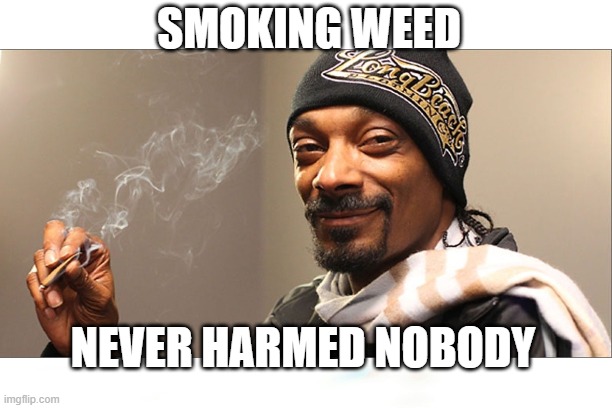 Smoke Weed Errday Memes Amazon.com: Funny Cannabis Weed Meme 420 LOL I