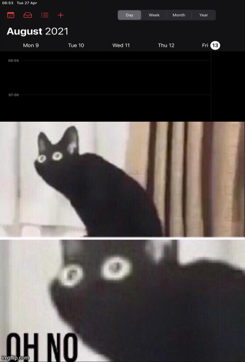 Oh no cat - Imgflip
