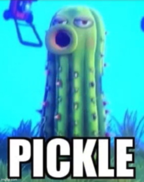Haters will say its not a pickle - Imgflip