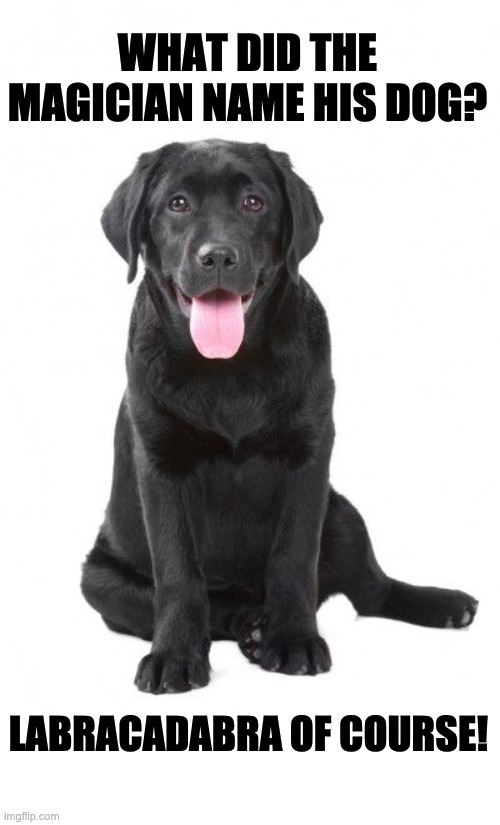 Lab assistant - Imgflip