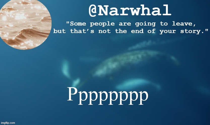 narwhal annoucemnet temp 9 - Imgflip