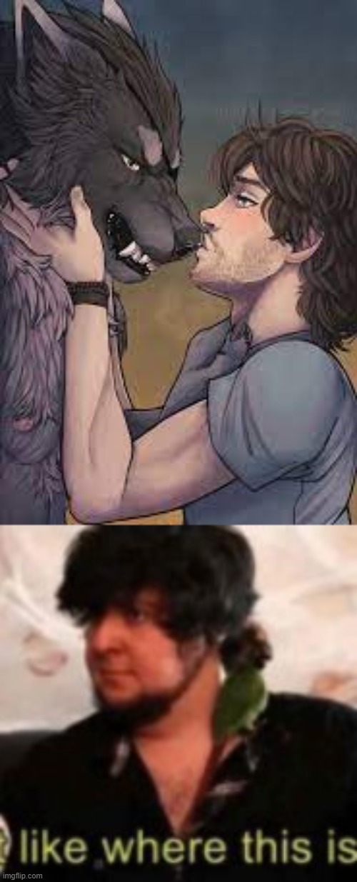 FNK BORDERS REEEEE - Imgflip