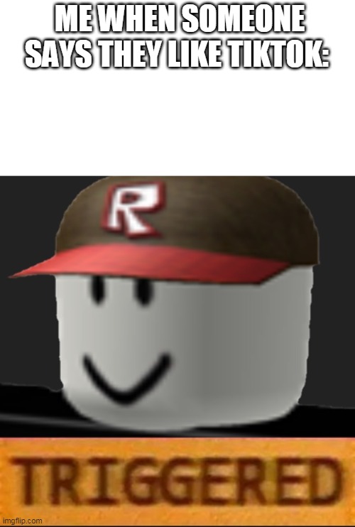 Roblox Triggered - Imgflip
