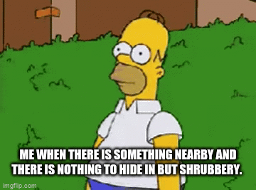 Basically me. - Imgflip