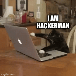 Hacker cat - Imgflip
