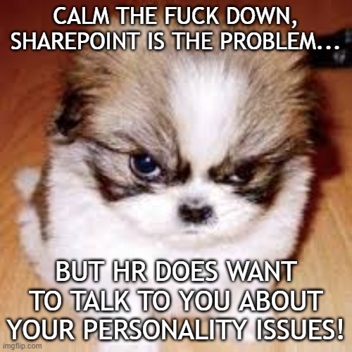 grumpy cats runner up, grumpy dog... - Imgflip