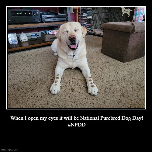 funny Memes & GIFs - Imgflip