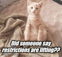 Did somebody say restrictions are lifted?? - Imgflip