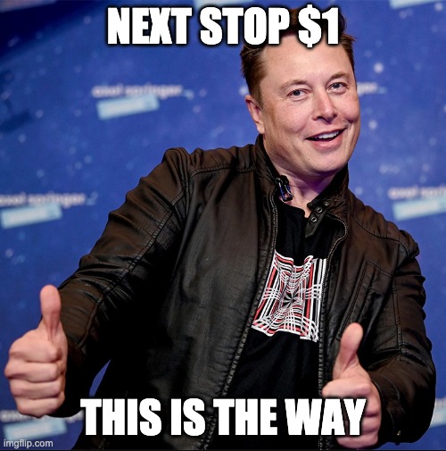 Elon Musk Dogecoin $1 - Imgflip