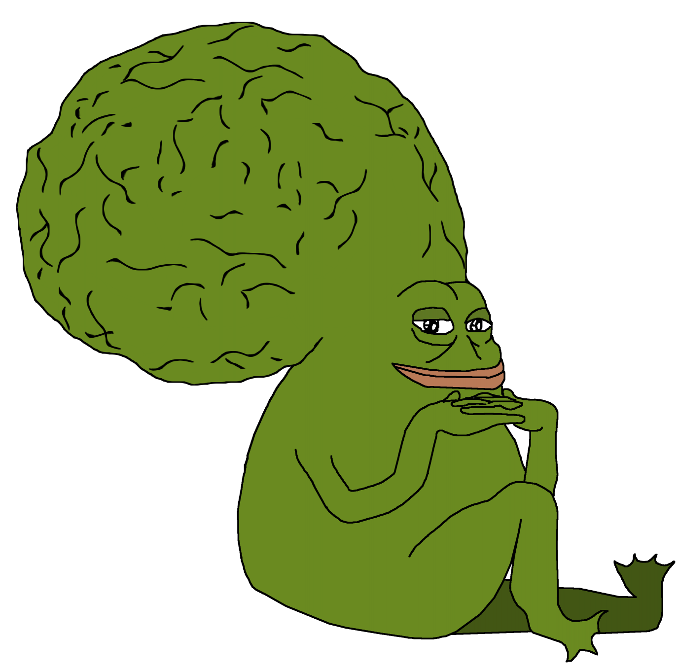 Big Brain Memes Imgflip