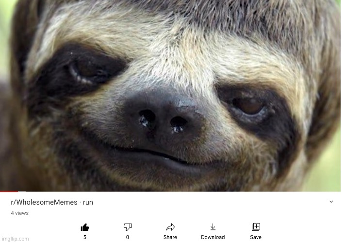 why 4 views and 5 likes - Imgflip