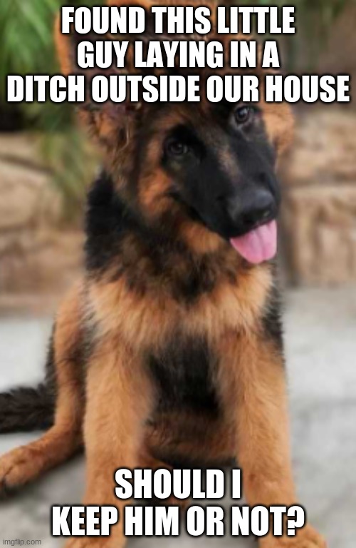 Im torn... - Imgflip