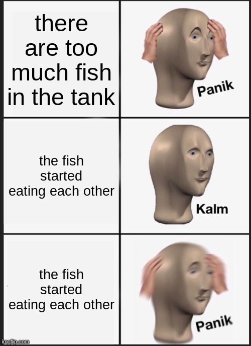 help my fish r eating each other (jk i no have fish) - Imgflip