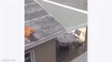 Shot On iPhone - Imgflip