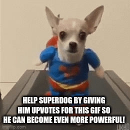 this is Superdog - Imgflip