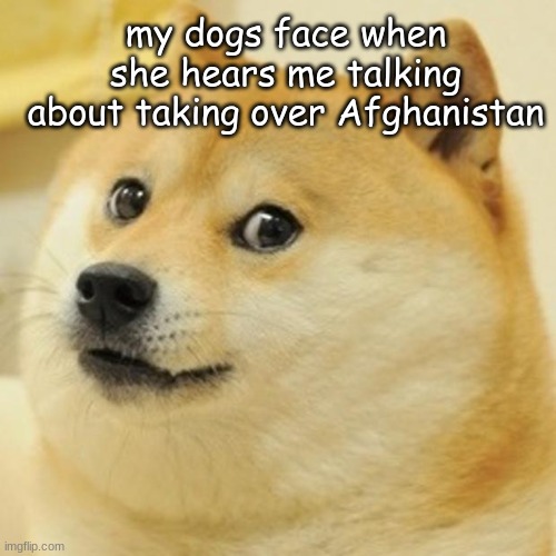 my dogs face - Imgflip