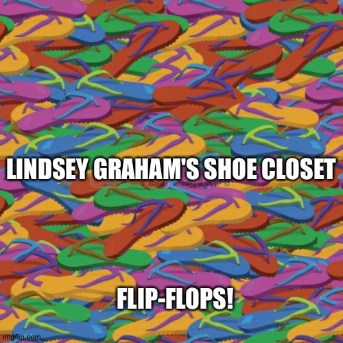 Nobody flip-flops like Lindsey! - Imgflip