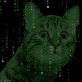 RayCat is in The Matrix - Imgflip