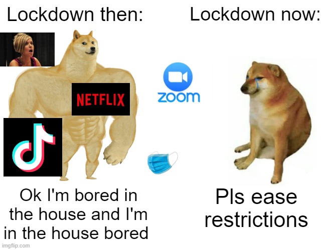 Buff Doge vs. Cheems Meme - Imgflip