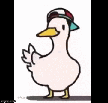 duck - Imgflip