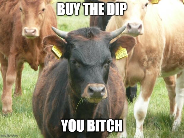 Passive-Aggressive Bull - Imgflip