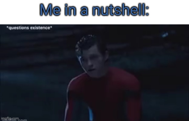 It says "questions existence" Incase you can't see it - Imgflip