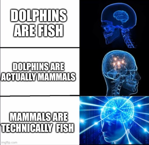 Phylogeny is fun! : r/PrehistoricMemes