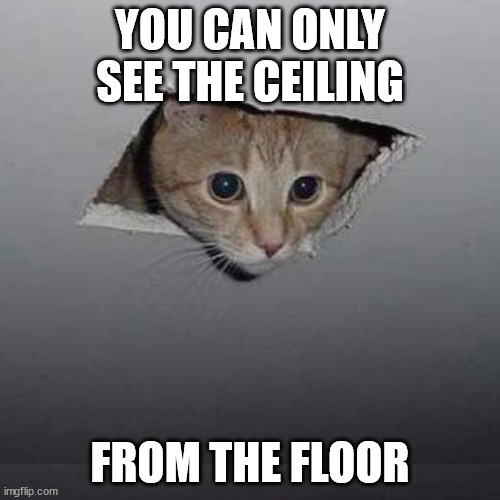 Ceiling Cat Meme - Imgflip