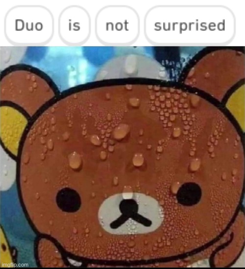 Image tagged in teddy bear sweat - Imgflip