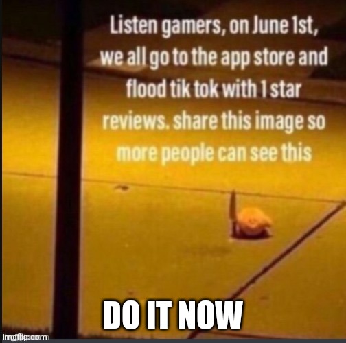 June 1st tik tok turtle - Imgflip