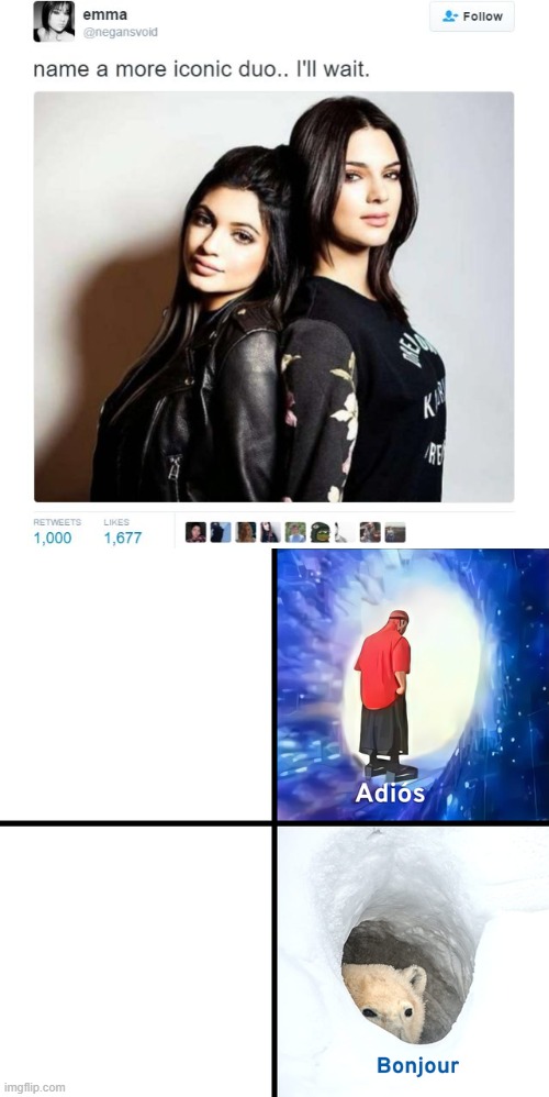 Image Tagged In Name A More Iconic Duo adios Bonjour Imgflip