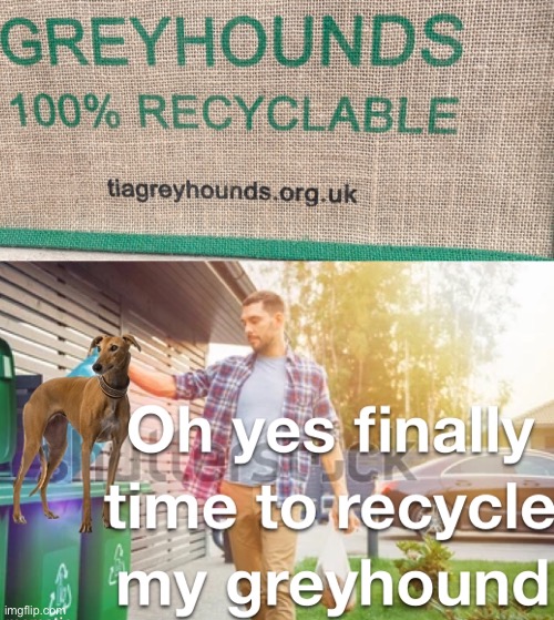 Welcome to my town, wher we recycle greyhounds - Imgflip