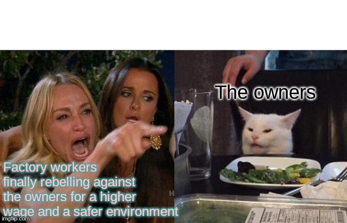 Woman Yelling At Cat Meme - Imgflip