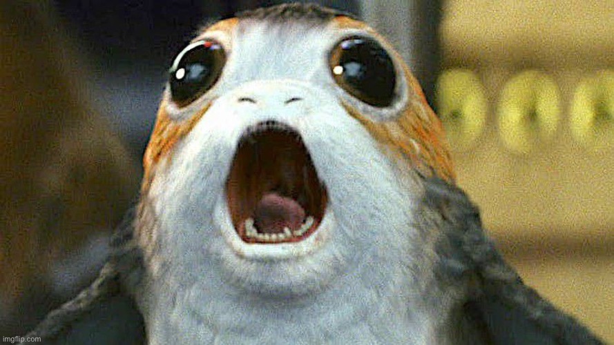 porg - Imgflip