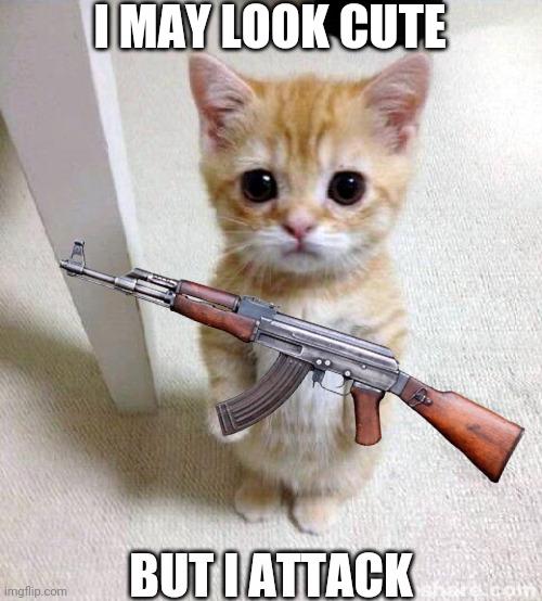 Attacking kitty - Imgflip