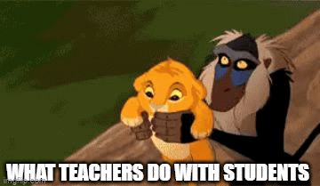 what teachers do with students - Imgflip