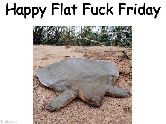 Image tagged in flat - Imgflip