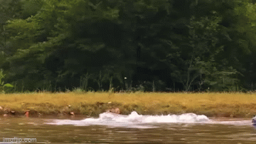 Reviving dead memes be like - Imgflip