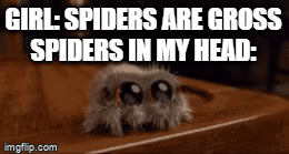 Cute spider - Imgflip