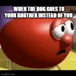 e - Imgflip