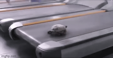 Running In The 90's Turtle - Imgflip