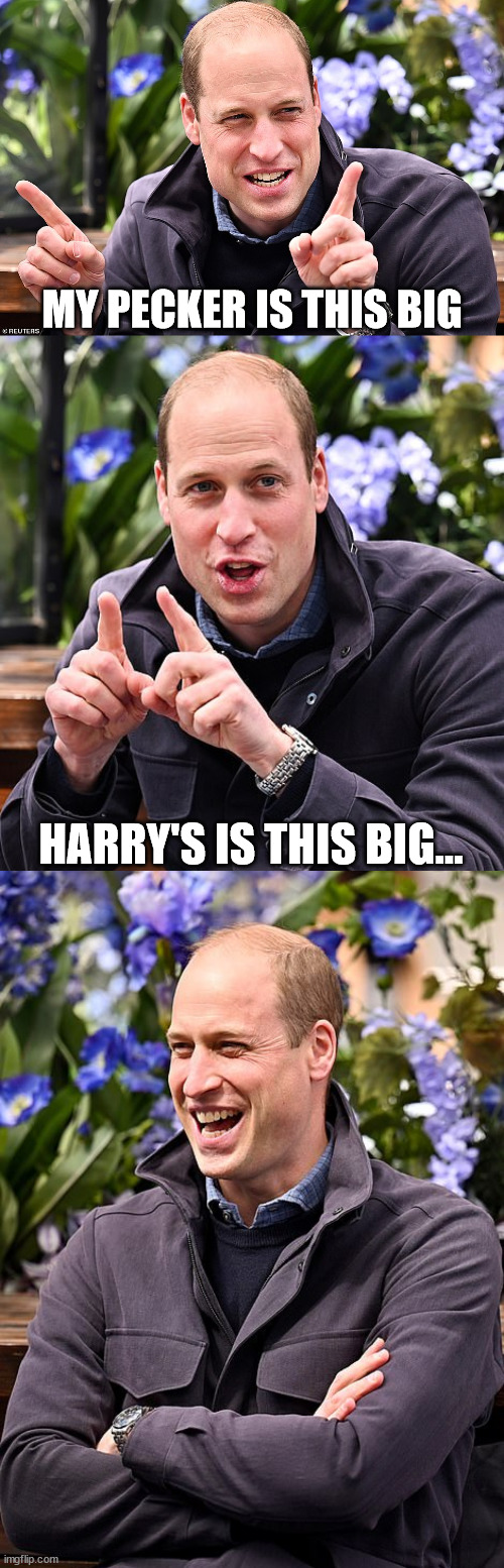 Prince William laughs - Imgflip