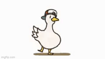 Love the duck - Imgflip
