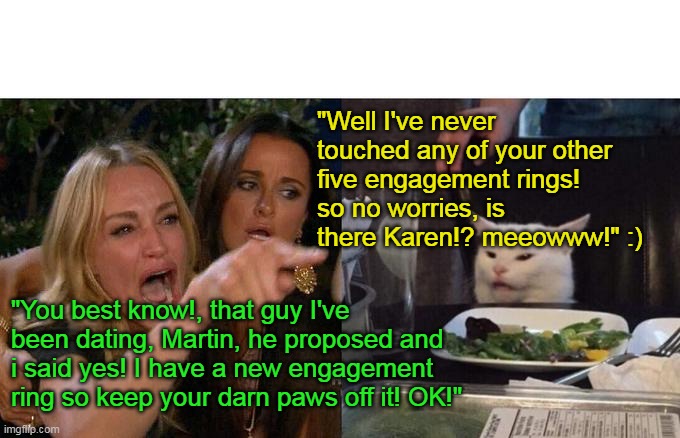 Woman Yelling At Cat Meme - Imgflip