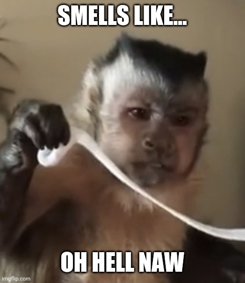 Oh Hell Naw Monkey - Imgflip