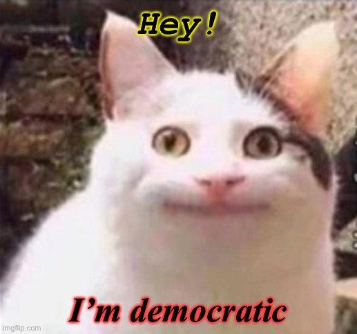 no one asked but ok UWU - Imgflip